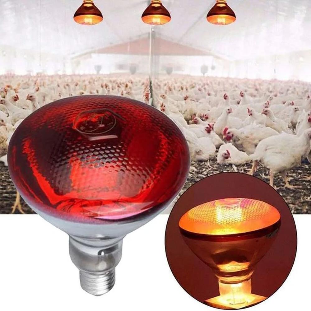 FOCO INFRARROJO CALEFACCIÓN PARA CERDOS PERROS POLLOS 100W | Promart.pe ...