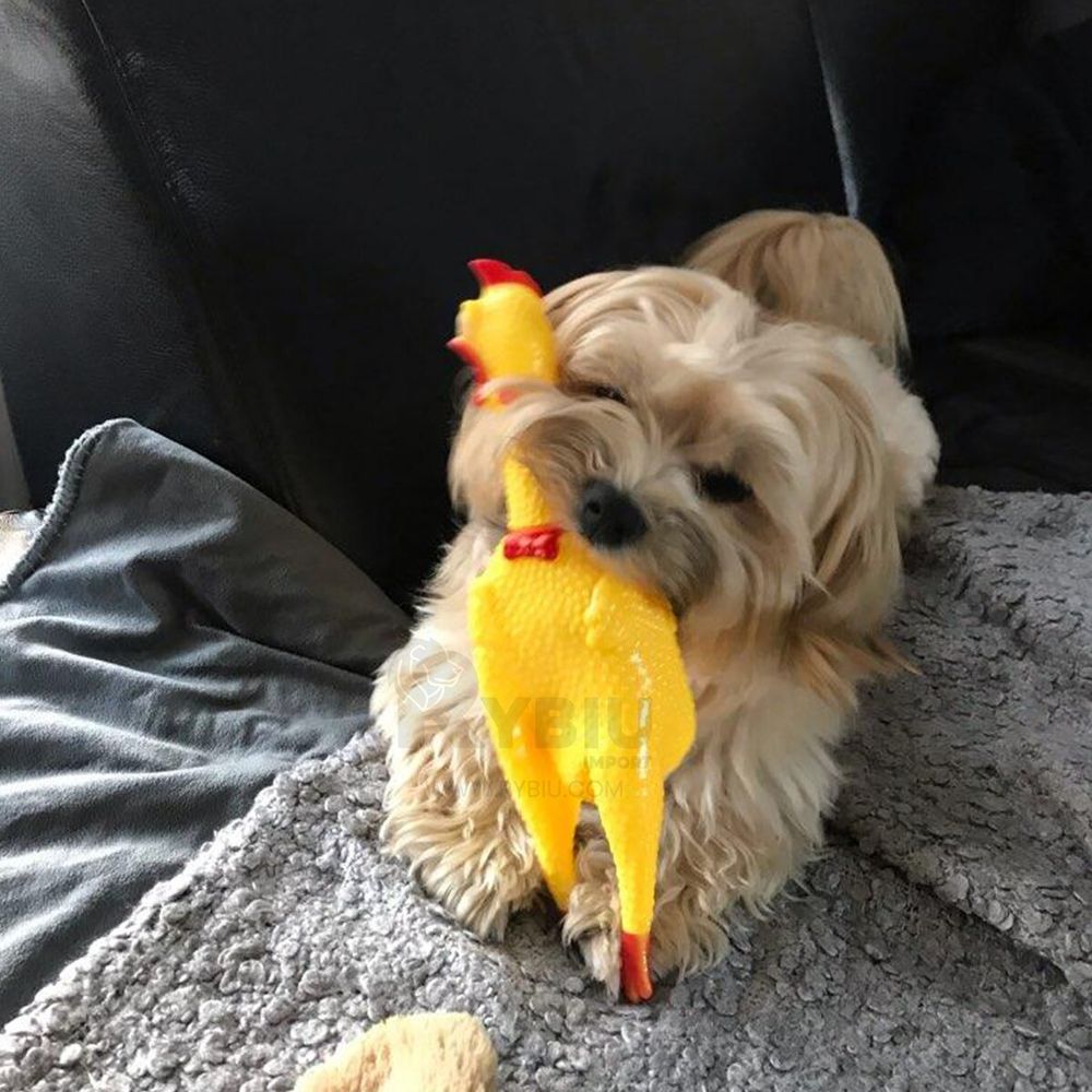 Pollo Chillón Pequeño Largo - Promart