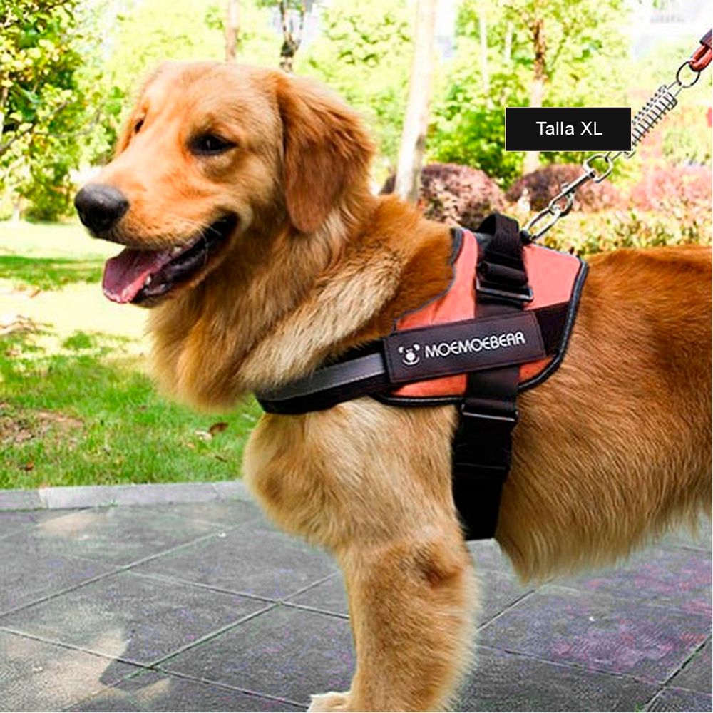 Pechera para Perro Naranja XL | Promart.pe - Promart