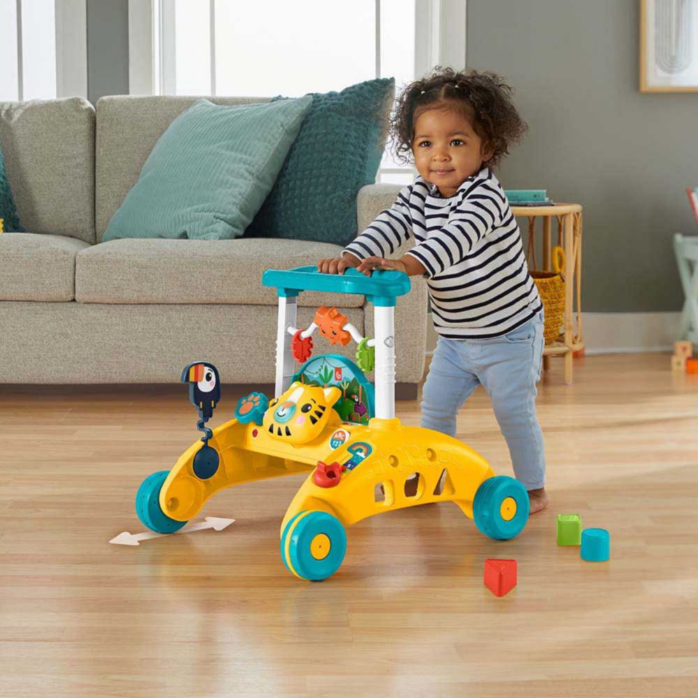 Andadera Para Bebe Fisher Price Dos Lados Primeros Pasos Hjr17 - Promart