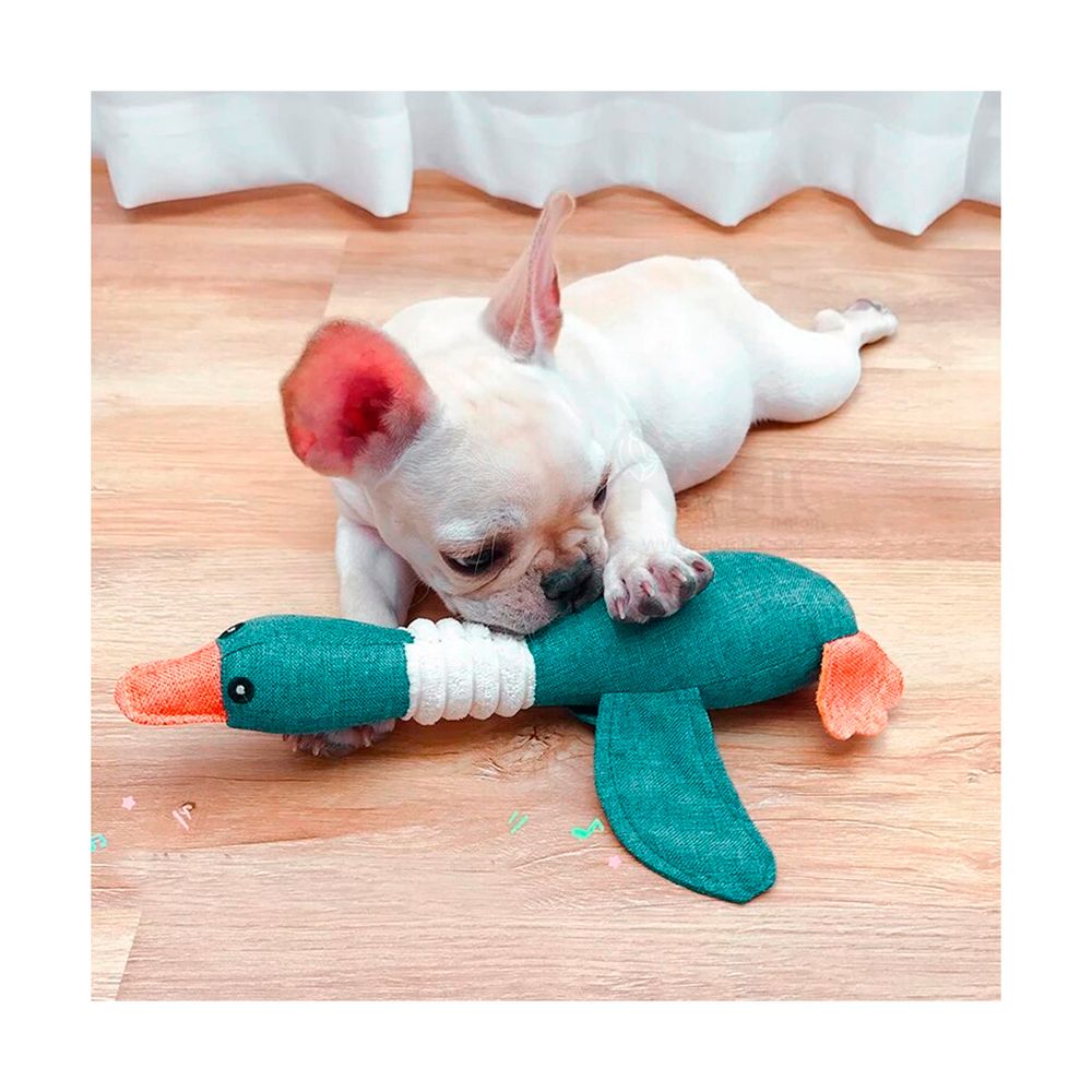 Peluche Antiestres en Forma de Pato Verde para Perros - Promart
