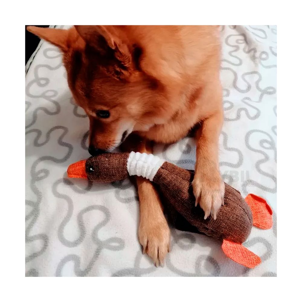 Peluche para Perros en Forma de Pato Marrón - Promart