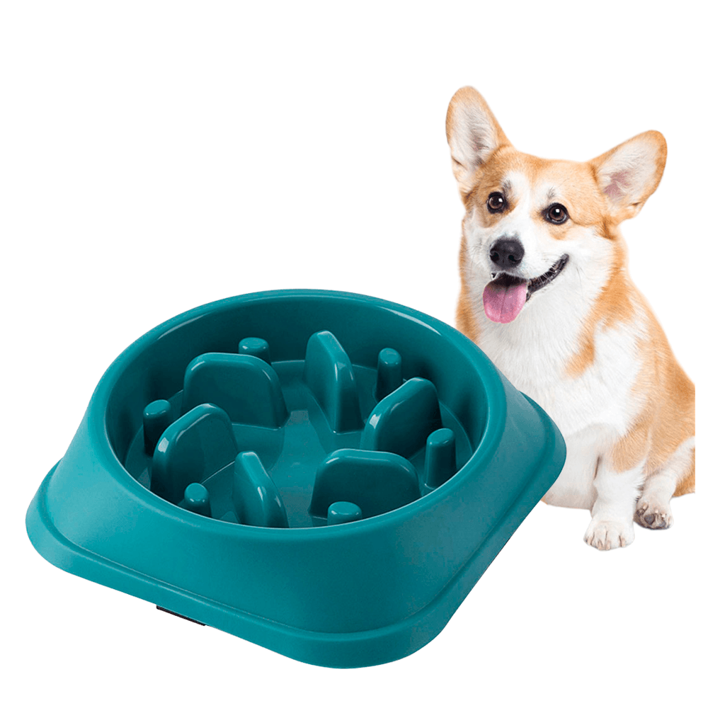 Plato Antiansiedad Para Perros Dieta Para Perros - Turquesa - Promart