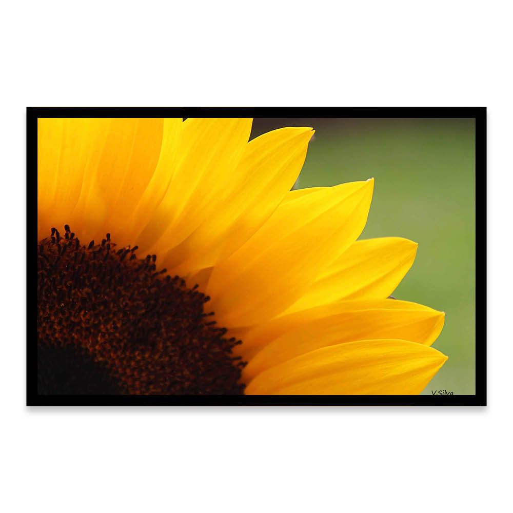 Cuadro Girasol 45x30 Papel de Algodón Marco Negro - Promart