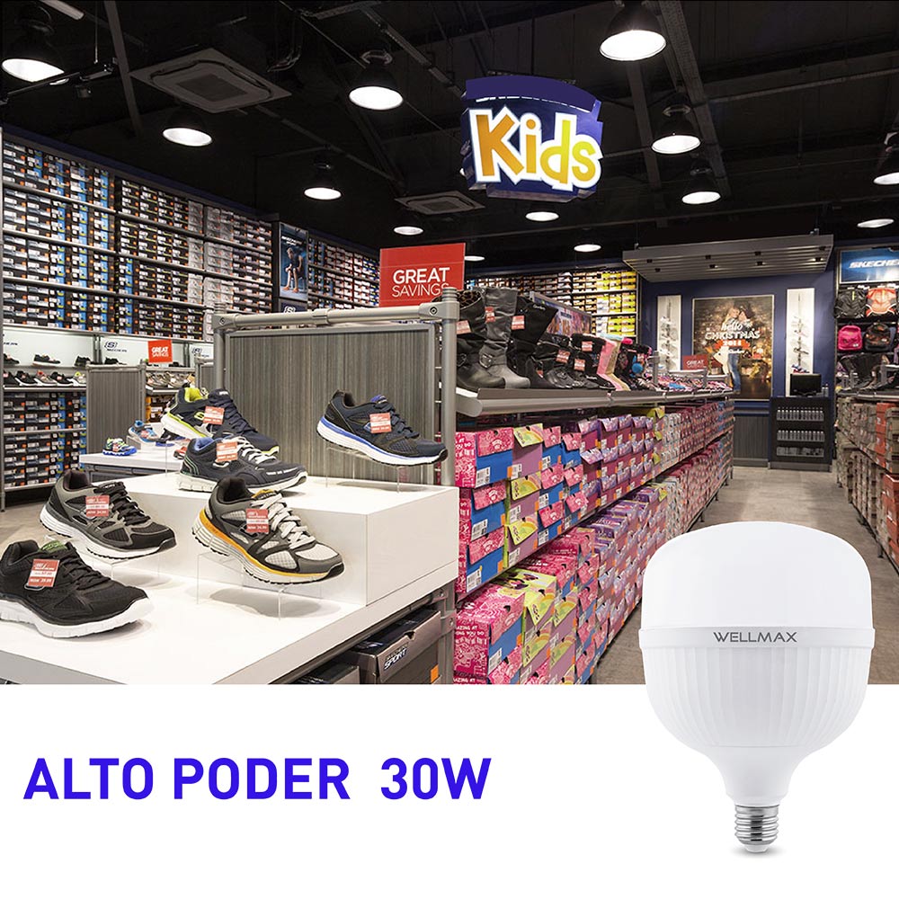 Foco led alto poder Ballet T100 30w luz fría Wellmax-Samsung - Promart