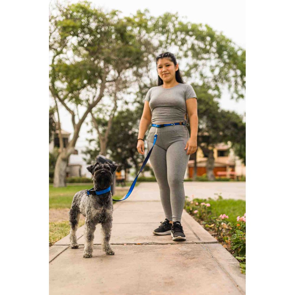 Correa Multiuso para Perro KYH PETS Fly Color Negro | Promart.pe - Promart