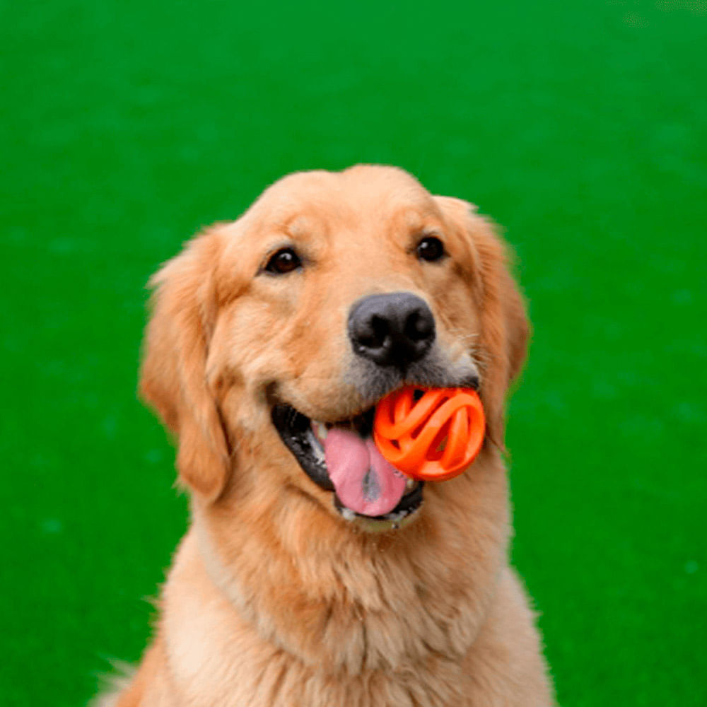 Juguete Pack de 1 Pelota Chuckit para Mejor Respiración Tamaño Grande ...