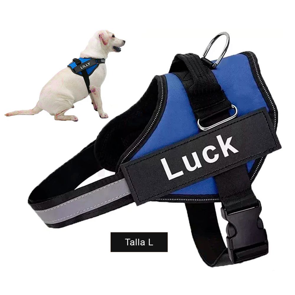 Pechera Dog Ajustable de Color Azul L - Promart