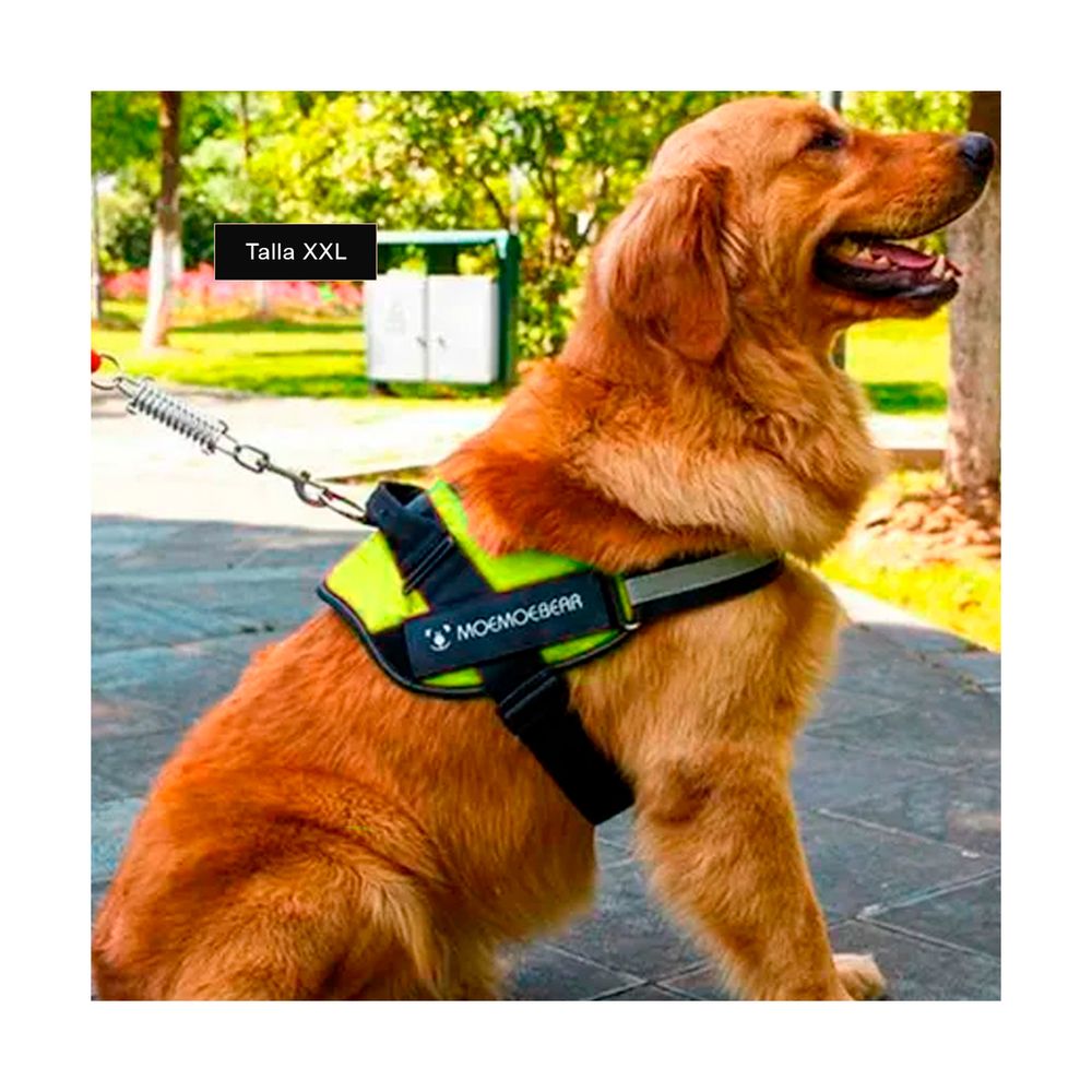 Pechera Dog Friendly de Color Verde XXL - Promart