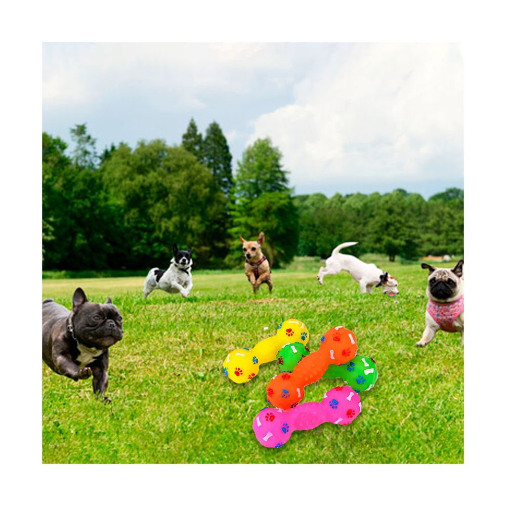 Pack 4 - Juguete de Goma para Perro Colores Variados - Promart