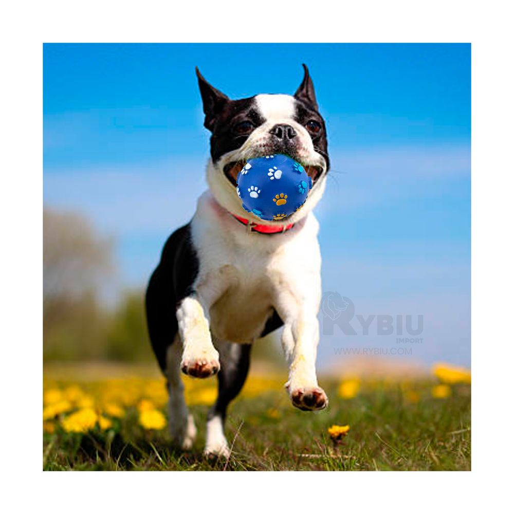 Divertida Pelota Color Azul con Huella Talla L - Promart