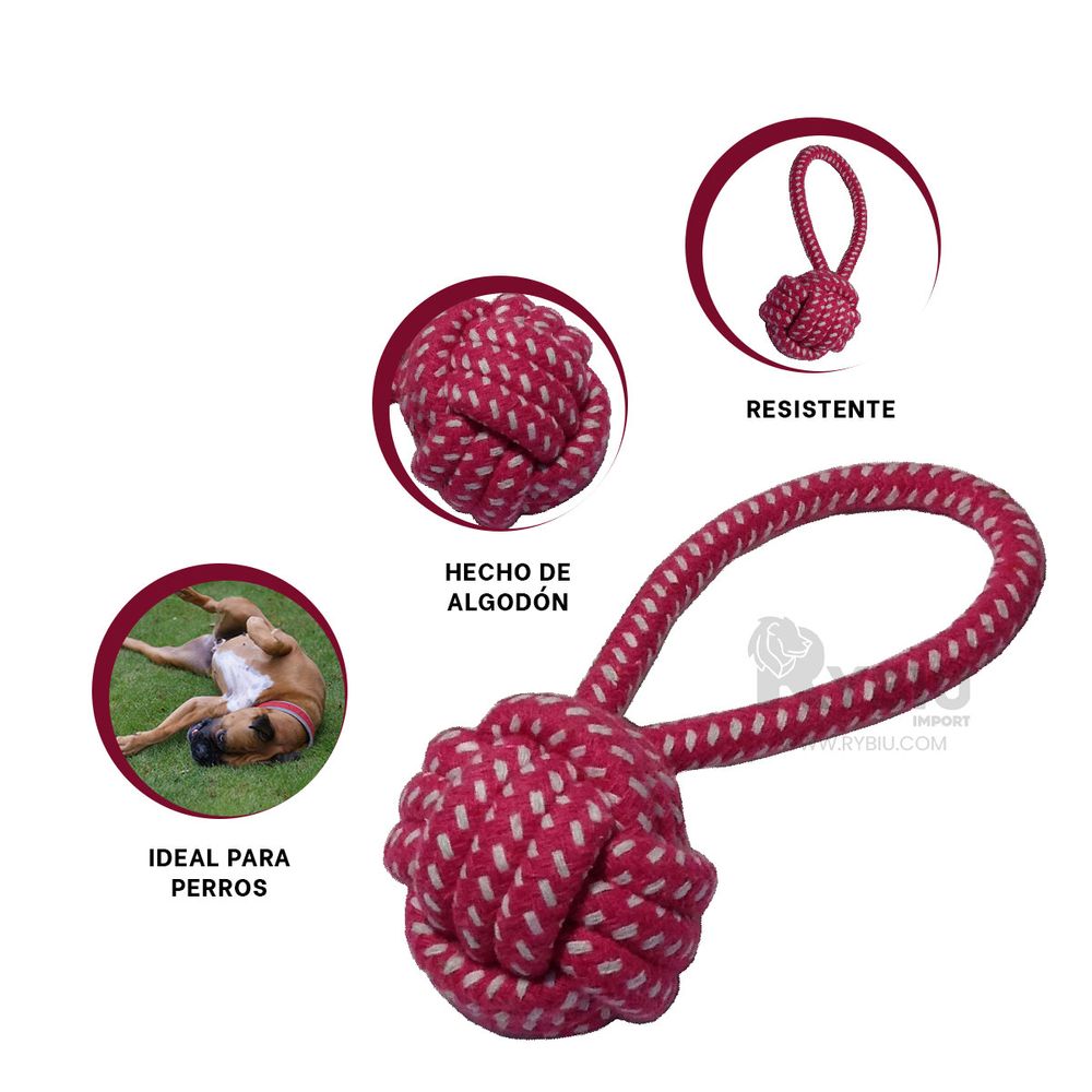 Grande Soga para Mascota de Color Rojo - Promart