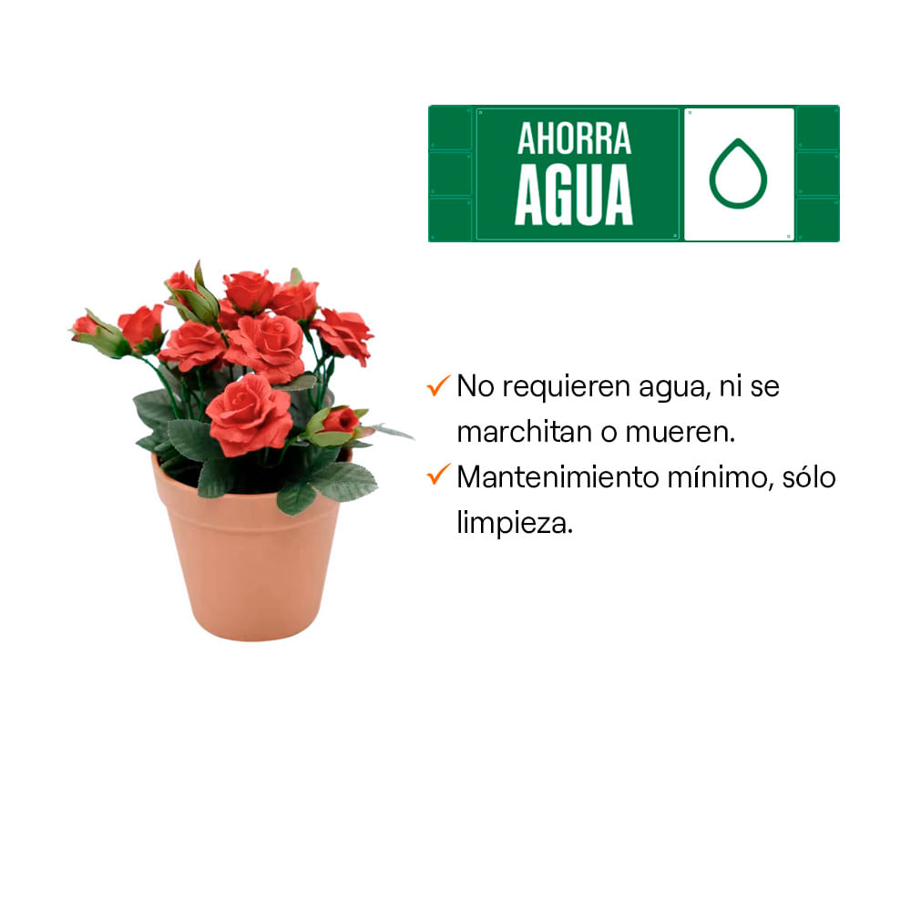Mini rosa roja mediana en maceta 18cm Orange - Promart