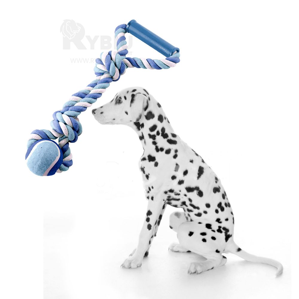 Soga Larga mas Pelota de Tenis Azul Pet - Promart