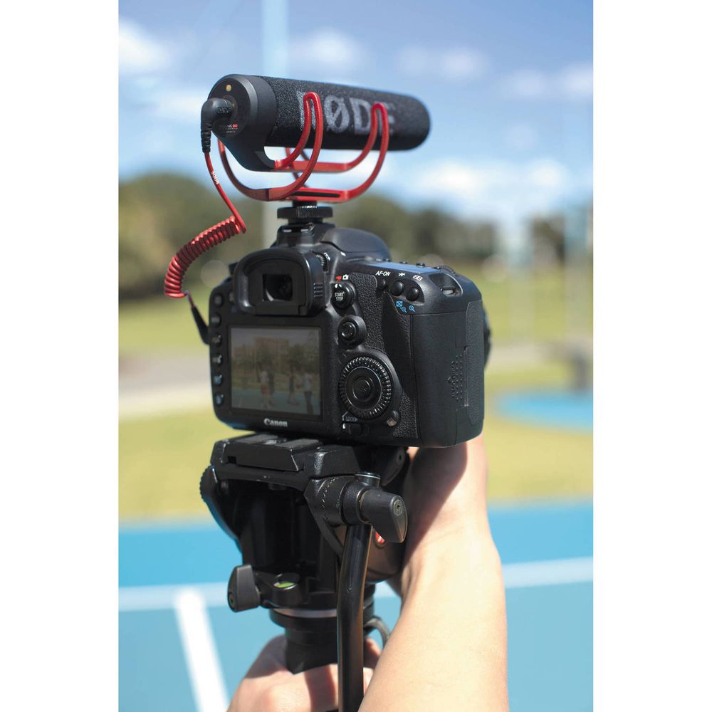Kit de Micrófono de Cañón Rode Videomic Go para Montar en Cámara con ...
