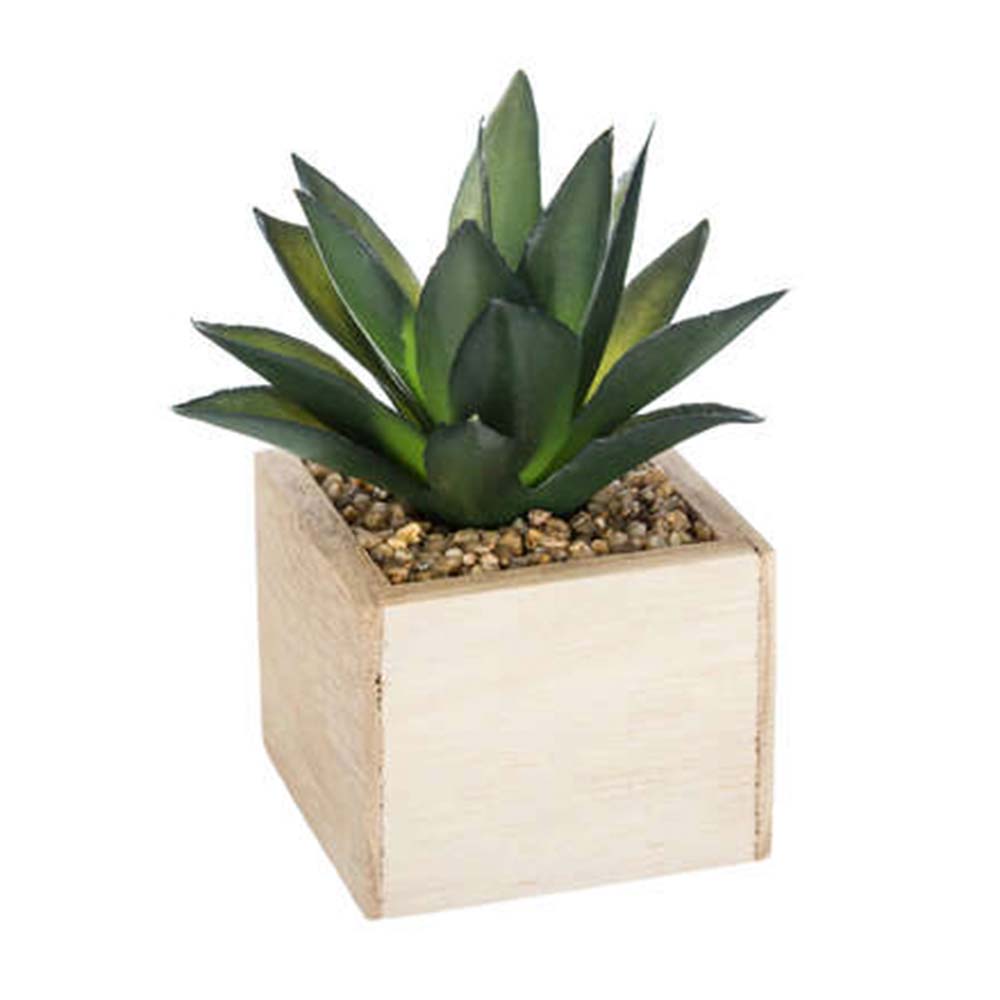 Planta de madera Verde Chic 14cm - Promart