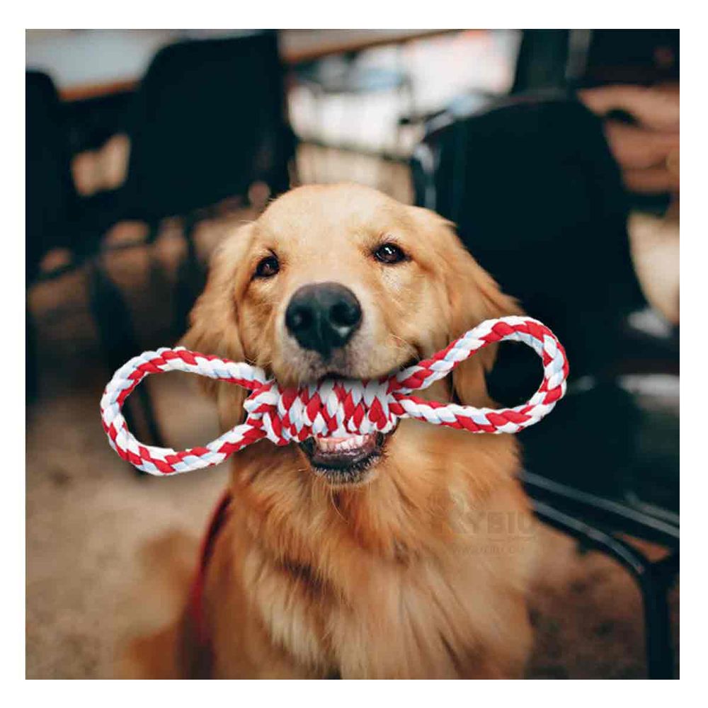 Soga para Perros 4 Nudos Cuerda Rojo 38cm - Promart