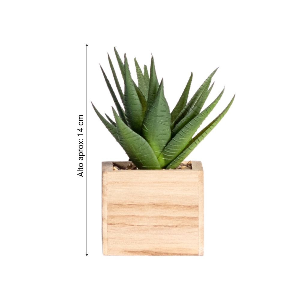 Planta de madera Verde Chic 14cm Atmosphera - Promart