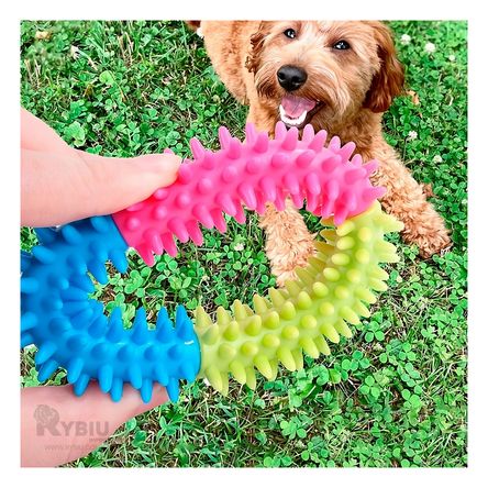 Aro Resistente Multicolores para Dog de 11 cm Y+Stickers - Promart