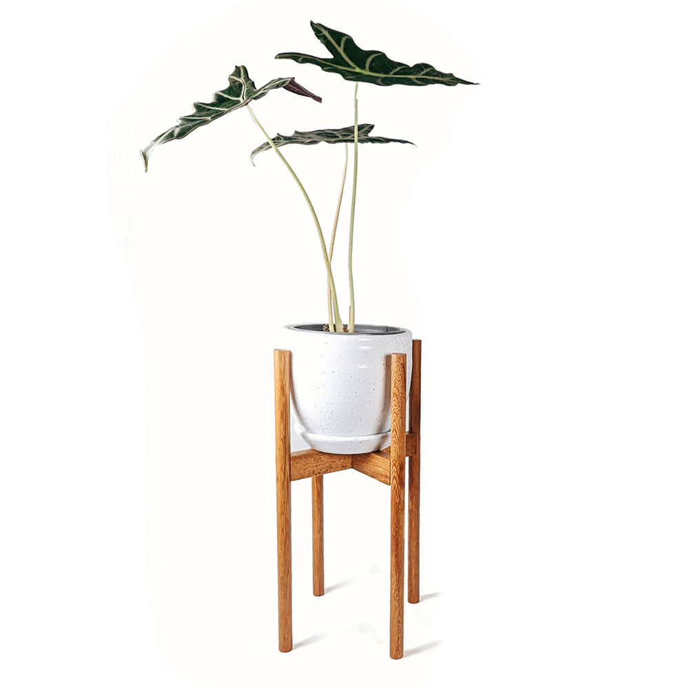 Parante de Madera Circular Un Cuarto Verde para Plantas y Macetas hasta ...