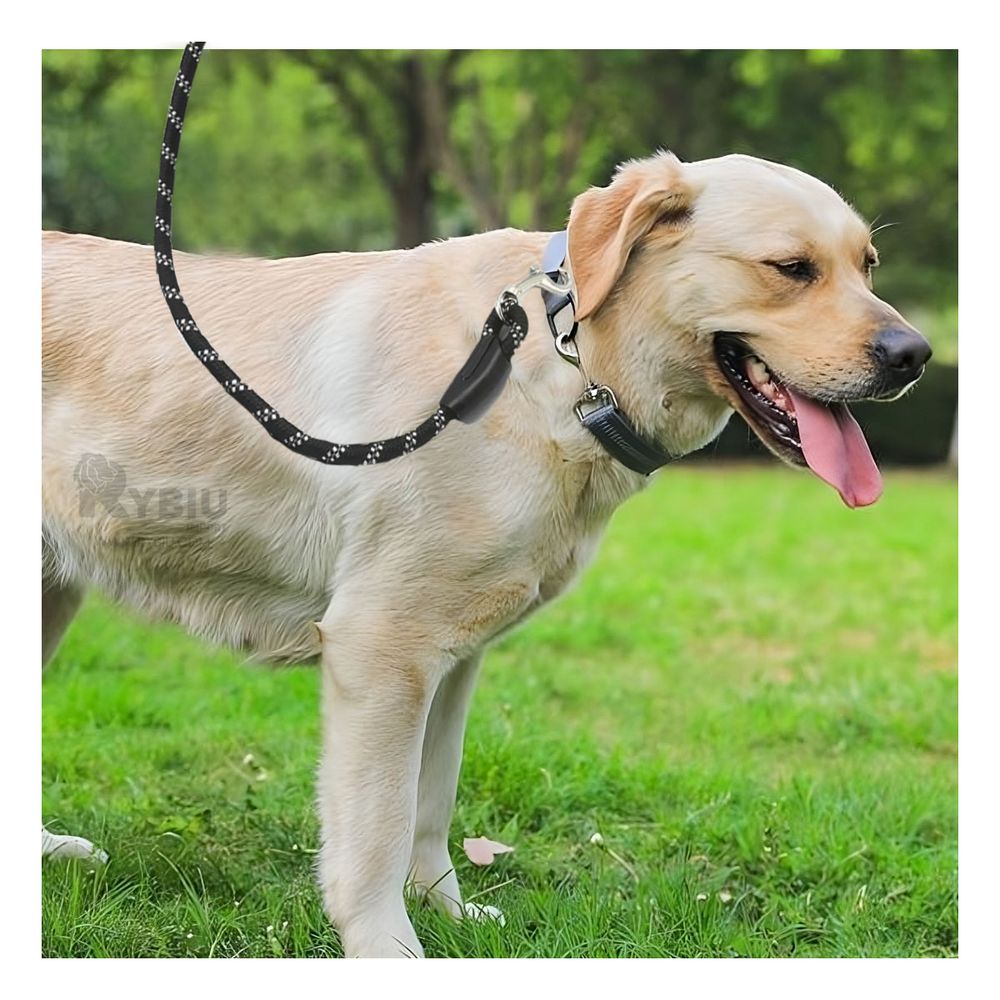 Soga Pet Compacta Delgada 2m en Negro Y+Regalo Stickers - Promart