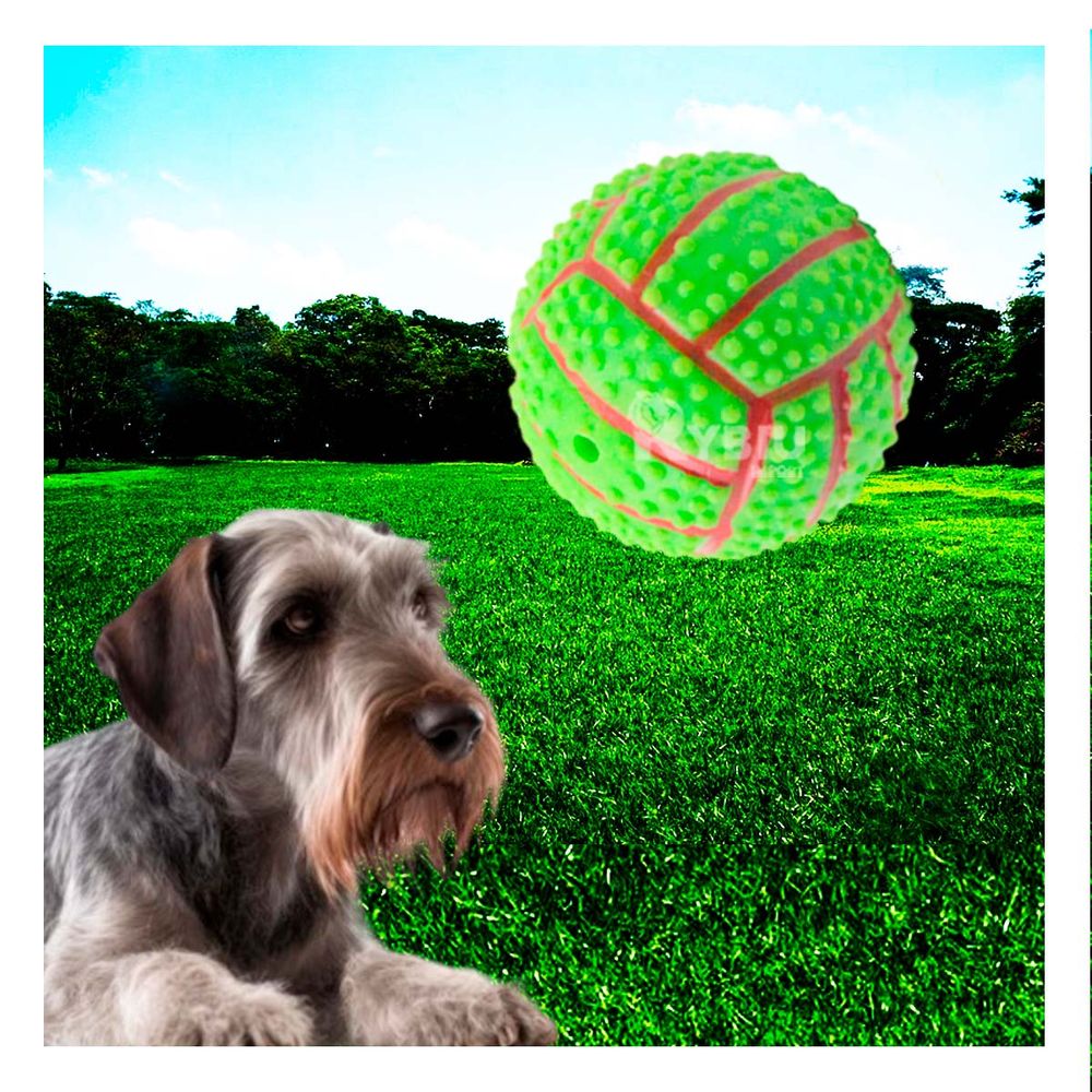 Pelota Llamativa con Relieve de Color Verde Y+Agendita - Promart