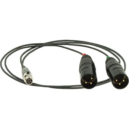 Cable Adaptador Ambient Recording SKA-TA5 TA5F a 2 x XLR3M (15.7") - Promart