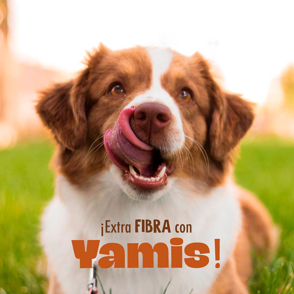 Rollitos Yamis Perros Adultos Carne a la Parilla 80 gr - Promart